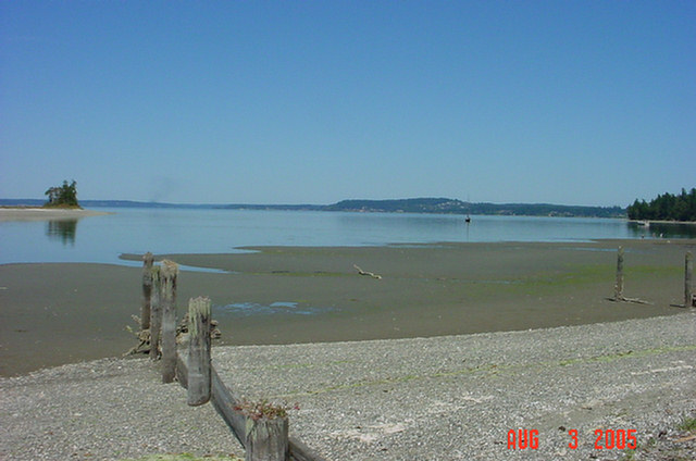 Low Tide in Mayo Cove